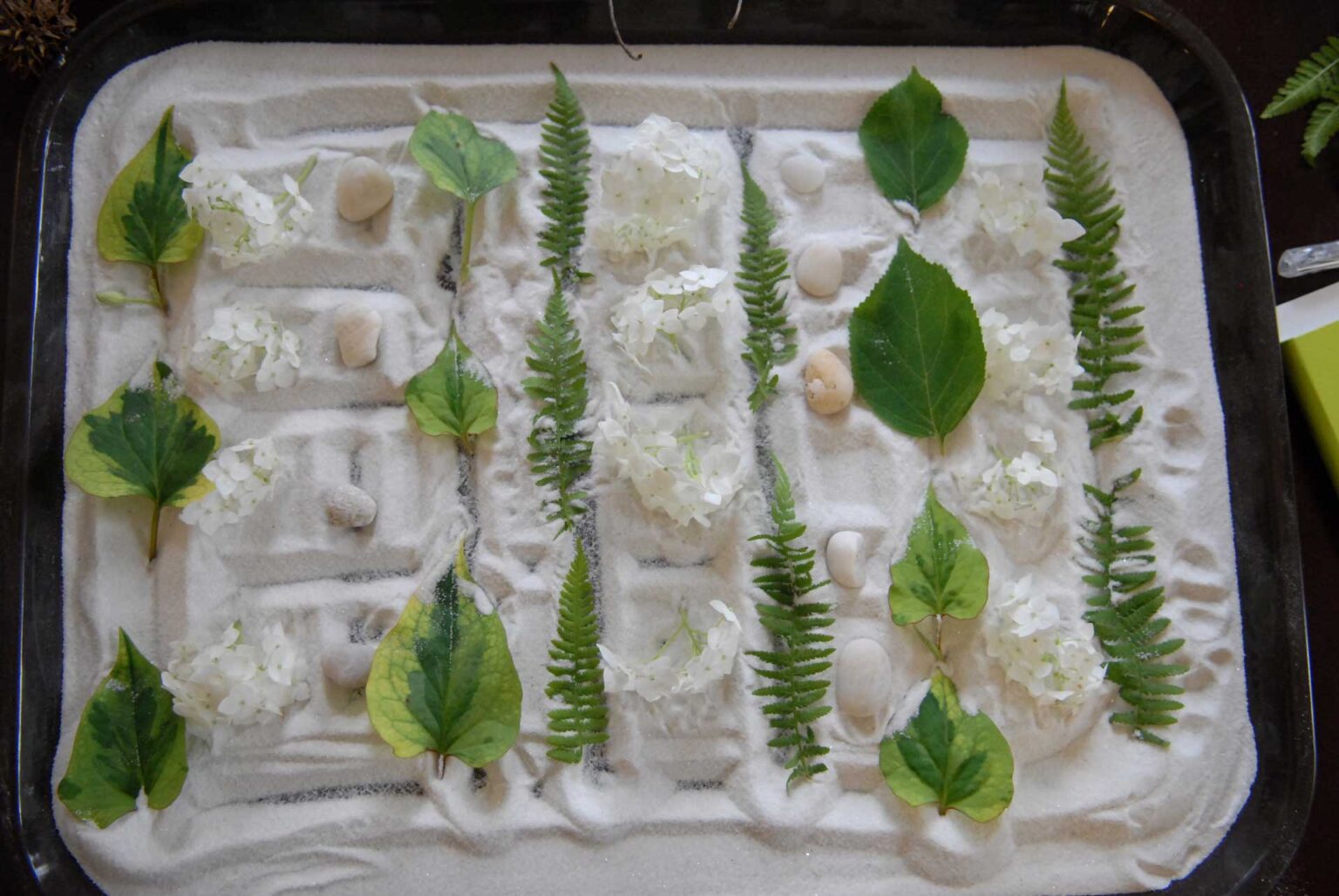 Change Sings by Poet Amanda Gorman, with Activity Ideas! – Seedlings ...